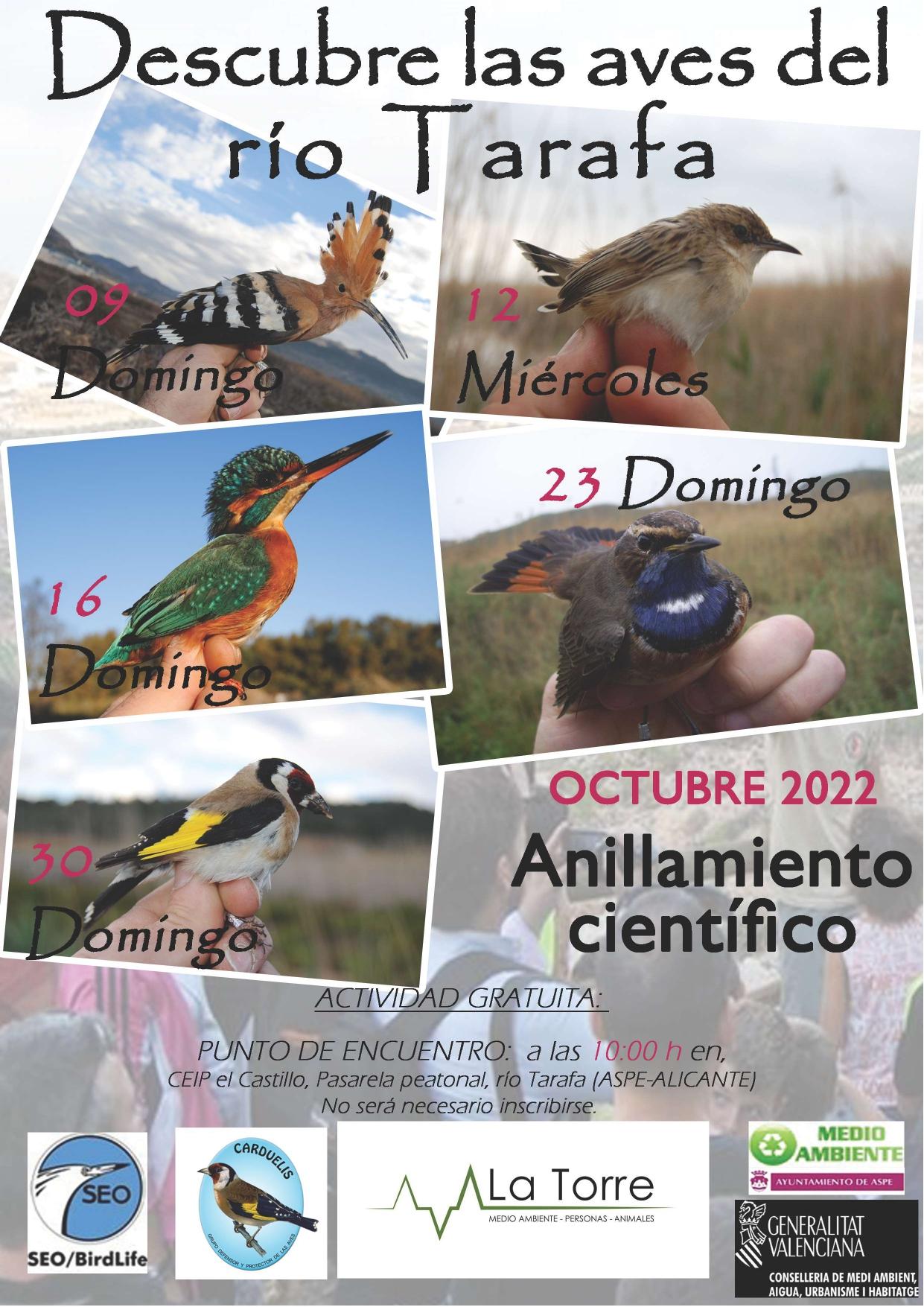 Descubre las aves del río Tarafa – Turismo de Aspe